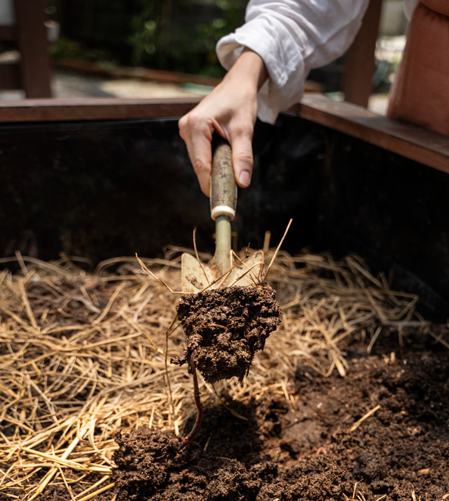 Services – Shetahit-Save Soil Save Planet