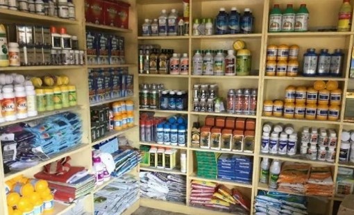 Services – Shetahit-Save Soil Save Planet